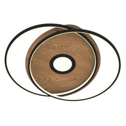 Q-SMART-HOME Paul Neuhaus Q-AMIRA LED-Deckenlampe oval, braun