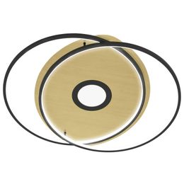 Q-SMART-HOME Paul Neuhaus Q-AMIRA LED-Deckenlampe oval, schwarz