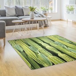 Teppich Kaktus Wand