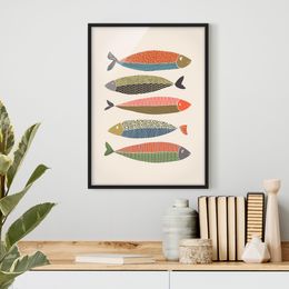 Bild mit Rahmen Fünf Bunte Fische