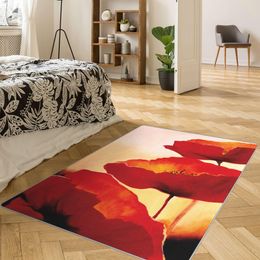Teppich Poppy Family