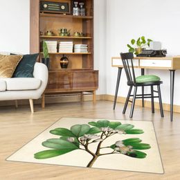 Teppich Laubbaum Schautafel III