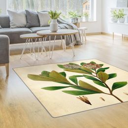 Teppich Laubbaum Schautafel V