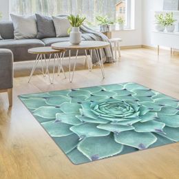 Teppich Kaktus Agave