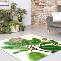 Teppich Laubbaum Schautafel VI
