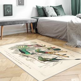 Teppich Kolibri-Diagramm