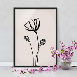 Bilderwelten Bild mit Rahmen Blumen beige Line Art inkl. Rahmung - Mohn Illustration II - Deko Wohnzimmer Schlafzimmer