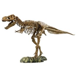 edu-toys Experimentierkasten T-Rex Tyrannosaurus Rex Skelett Modell 91cm mit Ständer Bausatz