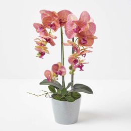 Homescapes Künstliche pfirsichfarbene Phalaenopsis-Orchidee im grauen Keramik-Topf, 58 cm - Pfirsich