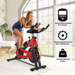Bigzzia - Stationäres Heimtrainer Indoor-Cycling-Fahrrad mit schlankem Schwungrad, LCD-Monitor, bequemem Sitz, Spin-Bike für Heimtraining im