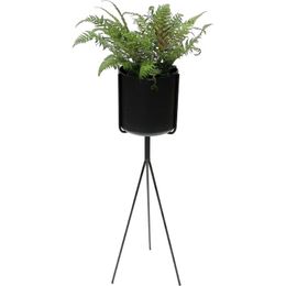 DanDiBo - Blumenständer mit Topf Metall Schwarz 80 cm Blumenhocker 96022 Blumensäule Modern Pflanzenständer Pflanzenhocker