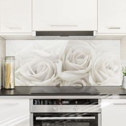 MICASIA Spritzschutz Glas - Weiße Rosen - Panorama Quer Größe HxB: 50cm x 125cm