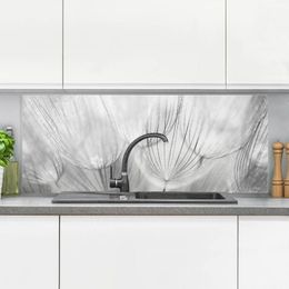 MICASIA Spritzschutz Glas - Pusteblumen Makroaufnahme in schwarz weiß - Panorama Quer Größe HxB: 40cm x 100cm