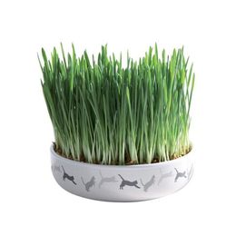 Trixie Ceramic Bowl with Cat Grass ø 15 x 4 cm