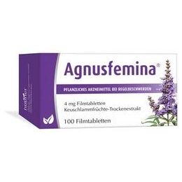 Hübner Agnusfemina 4 mg Filmtabletten 100 St