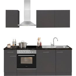 Optifit Küchenzeile Malika, Breite 210 cm, mit Hanseatic-E-Geräten, inkl. Geschirrspüler, grau