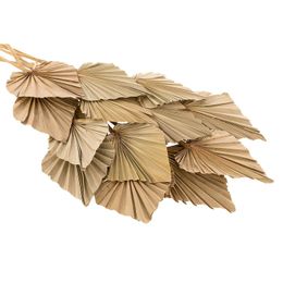 buttinette Palmenblätter, 30–60 cm, 20 Stück