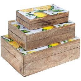 Signes Grimalt - Küchenbox Setzen Sie 3 Boxen Zitronenkästen und braune Tabletts 25x18x9cm 16583 - Marrón