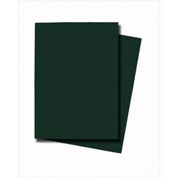 Max Protection Sammelkarte Alpha Protectors emerald green (50 ct)