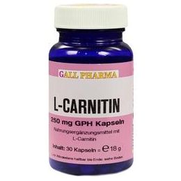 L-Carnitin 250 mg Kapseln 30 St