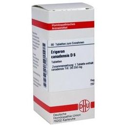 DHU-Arzneimittel Erigeron Canadensis D 6 Tabletten 80 St