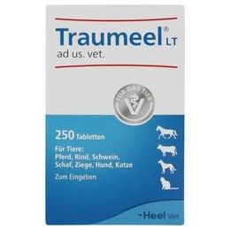 Heel Traumeel LT ad us.vet.Tabletten 250 St