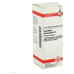 DHU-Arzneimittel Ceanothus Americanus D 2 Dilution 20 ml