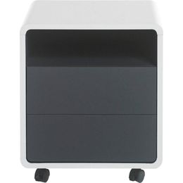 MCA furniture Rollcontainer Tadeo, weiß matt, Absetzungen in Grau Matt, grau|weiß