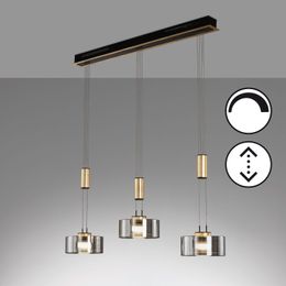 Fischer & Honsel Lavin Pendelleuchte LED Schwarz, 3-flammig