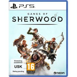 Big Ben Interactive Gangs of Sherwood PlayStation 5