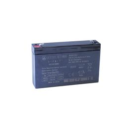 Nordic Play Electric car 6V battery 7AH