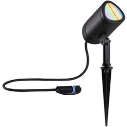Paulmann LED Gartenstrahler Plug & Shine Spot Shira, LED fest integriert, Tageslichtweiß, RGBW Zigbee 2000-6500K, schwarz