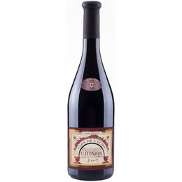 Couly-Dutheil 2011 Magnum Clos de l'Echo Chinon AOP trocken 1,5 L