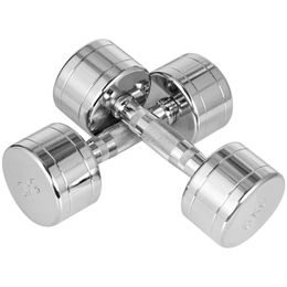 HOMCOM Kurzhantel-Set mit gerändeltem Griff silber 22,5L x 8B x 8Hcm