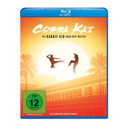 EuroVideo Medien GmbH Cobra Kai - Staffel 1 (Blu-ray)