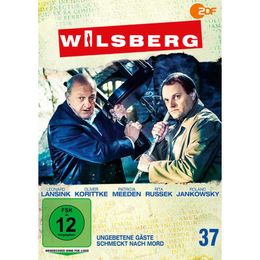 Wilsberg 37: Ungebetene Gäste / Schmeckt nach Mord (DVD)