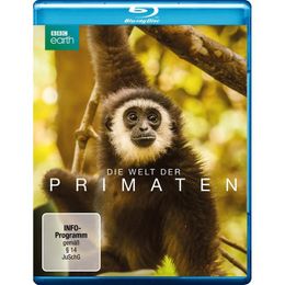 Die Welt Der Primaten (Blu-ray)