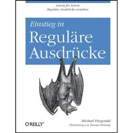 Einstieg in Reguläre Ausdrücke - Michael Fitzgerald, Gebunden