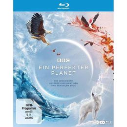 Polyband Ein Perfekter Planet (Blu-ray)