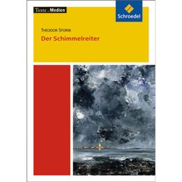 Der Schimmelreiter, Textausgabe mit Materialien - Theodor Storm, Kartoniert (TB)