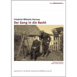 Der Gang in die Nacht / Scherben (DVD)