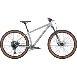 Mountainbike WHYTE BIKES "529" Fahrräder Gr. 43 cm, 29 Zoll (73,66 cm), grau Hardtail