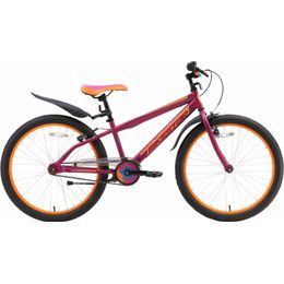 Kinderfahrrad Bikestar Fahrräder Gr. 32 cm, 24 Zoll (60,96 cm), lila Kinder Kinderfahrräder