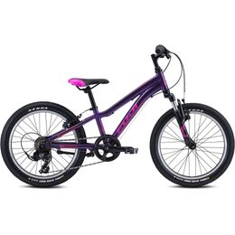 Mountainbike FUJI Bikes "Fuji Dynamite 20" Fahrräder Gr. 24 cm, 20 Zoll (50,80 cm), lila Kinder Hardtail