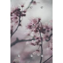 Garderobenleiste queence "Blumen" Garderobenhalter Gr. B/H/T: 80 cm x 120 cm x 5 cm, rosa Haken