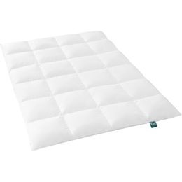Gänsedaunenbettdecke F.A.N. Schlafkomfort "f.a.n. Alaska" Bettdecken Gr. B/L: 155 cm x 220 cm, warm, weiß Allergiker Bettdecke