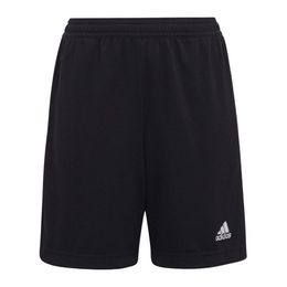 adidas Performance Sporthose Entrada 22 Trainingsshort Kids