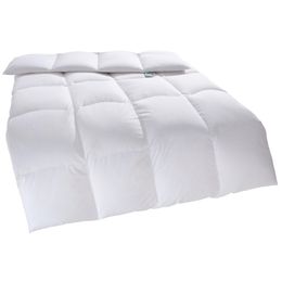 Gänsedaunenbettdecke F.A.N. Schlafkomfort "f.a.n. Island" Bettdecken Gr. B/L: 135 cm x 200 cm, warm, weiß Allergiker Bettdecke