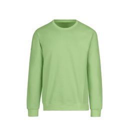 TRIGEMA Sweatshirt »Sweatshirt« pistazie S S Sweat-Qualität