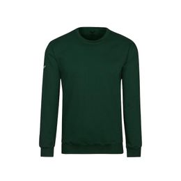 TRIGEMA Sweatshirt &raquo;Sweatshirt aus Biobaumwolle&laquo; tanne-C2C L L BIO Sweat-Qualit&auml;t